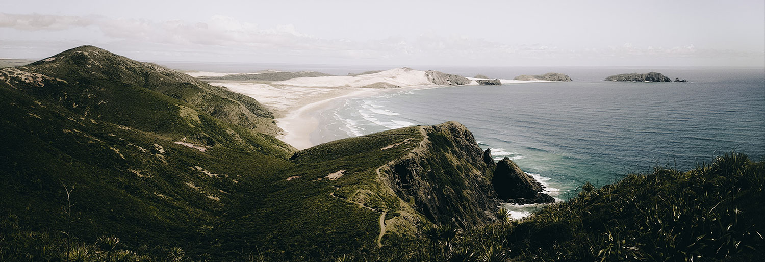 Discover Waipiro Bay – Tripsy stories